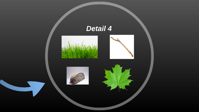 Joe Casella by joe casella on Prezi