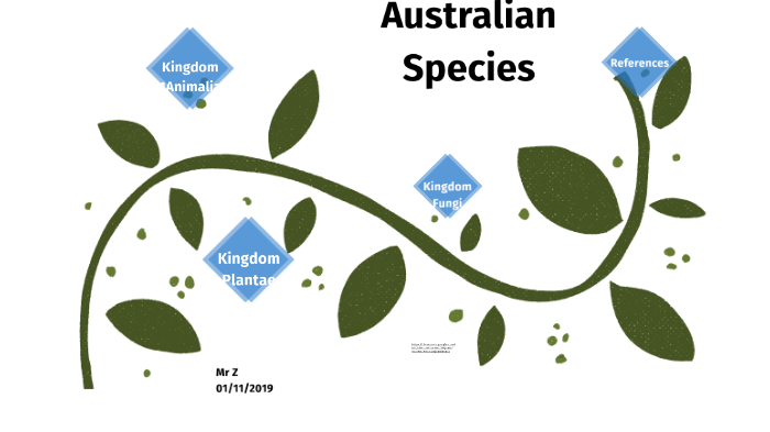 Australian Species by Michael Zampogna on Prezi