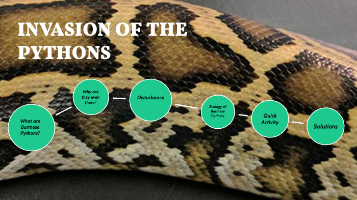 Invasion of the Pythons by Camila Basterrechea on Prezi