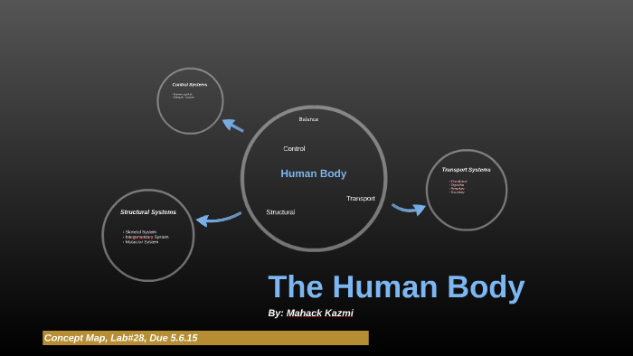 Human Body Concept Map by Mahack Kazmi on Prezi