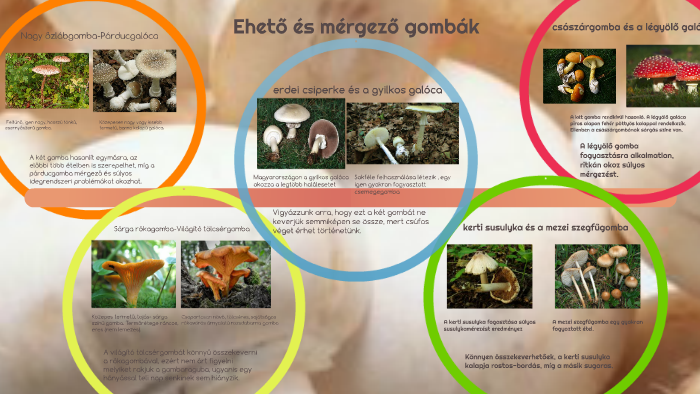 Ehető és mérgező gombák by Danger Mate on Prezi