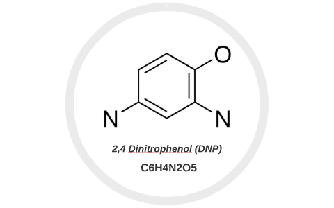 2,4 Dinitrophenol (DNP) by Melody Medina on Prezi