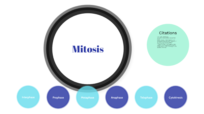 The Cell Cycle Oreos by Nadia Safouan on Prezi