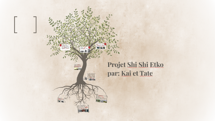 Project Shi Shi Etko by kai okuyama