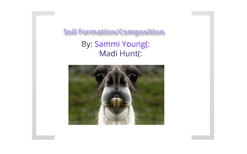 Soil Formation and Composition by Madi Hunt(: on Prezi