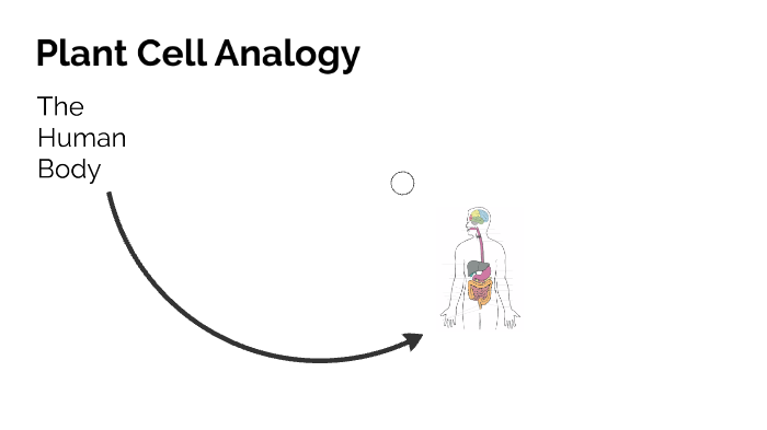 Plant Cell Analogy - Human Body by Coral W on Prezi
