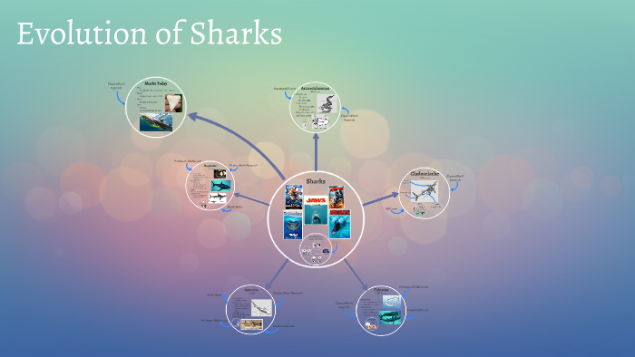 Evolution of Sharks by on Prezi