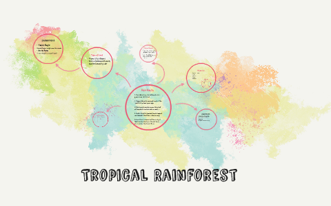 Tropical Rainforest by Morgan Leach on Prezi