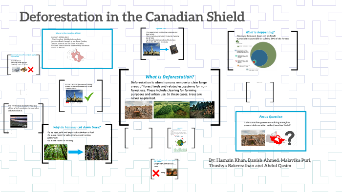 Deforestation in the Canadian Shield by Hasnain Khan on Prezi