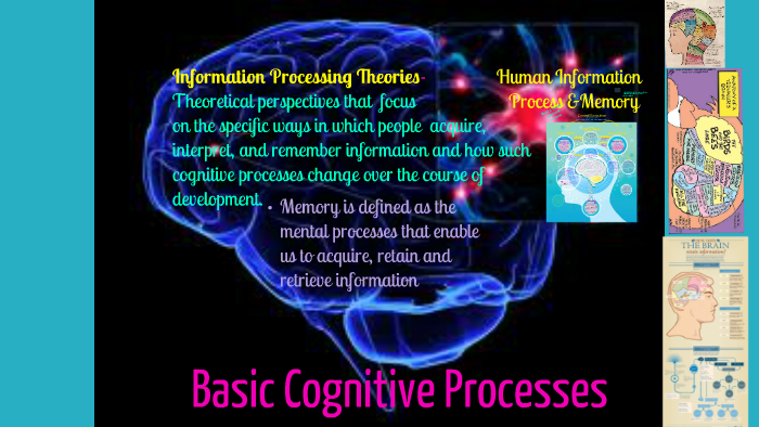 Educational Psychology: Basic Cognitive Processes by Catherine Daniels ...
