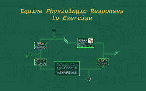 Equine Physiologic Responses to Exercise by Madison Cocuzza on Prezi