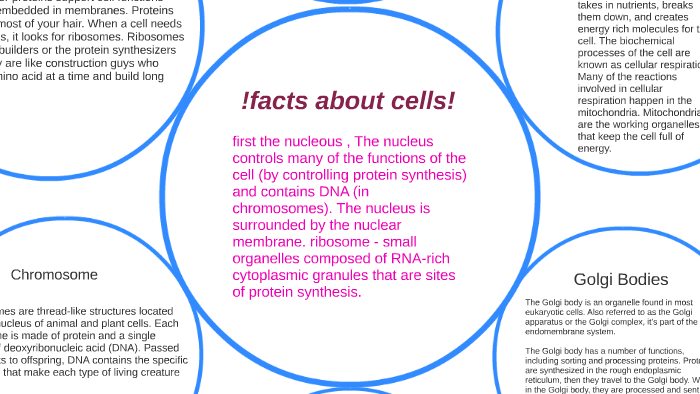 !facts about cells! by gianna wiesman