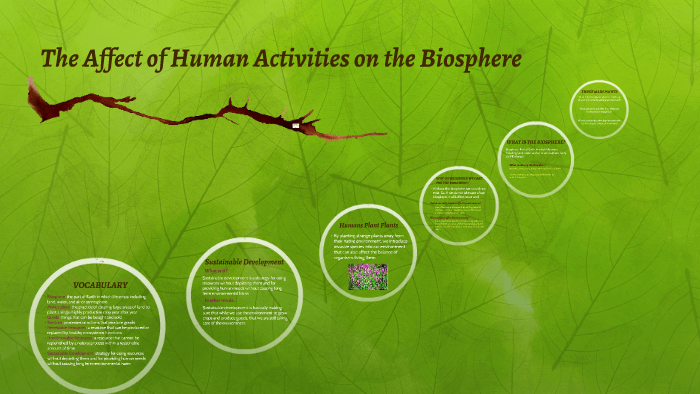 The Affect of Human Activies on the Biosphere by Sarah Seay