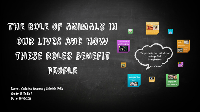 The role of animals in our lives and how these roles benefit by ...