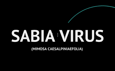 SABIA VIRUS by Garrett Ring on Prezi