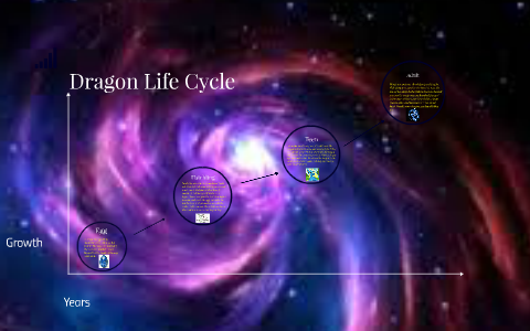 Dragon Life Cycle by Brady Dembinski on Prezi