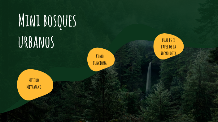 Mini bosques urbanos by Natalia Sofia Santos Ruge on Prezi