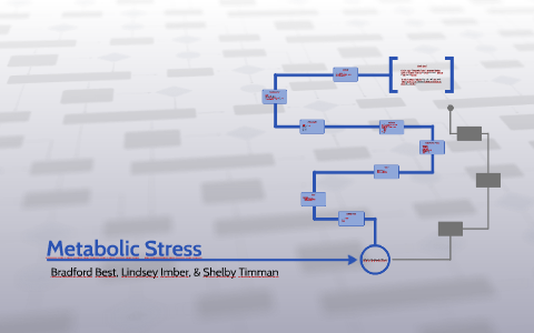 Metabolic Strees by Lindsey Imber on Prezi