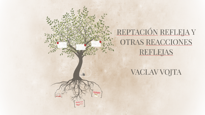 REPTACIÓN REFLEJA Y OTRAS REACCIONES REFLEJAS by ivana natalia on Prezi