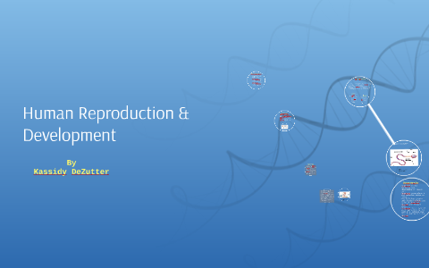 Human Reproduction & Development by