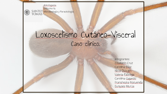 Loxoscelismo Cutáneo-Visceral by Fran Victoria on Prezi