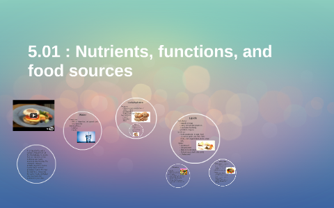 5.01 : Nutrients, functions, and food sources by Noe Buske on Prezi