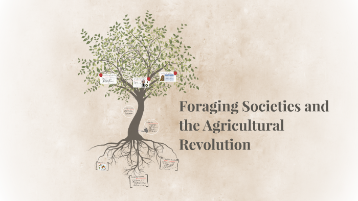 Foraging Societies and the Agricultural Revolution by Kristin Rogers on ...