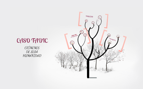 CASO TADIC by on Prezi