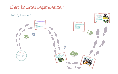 What is interdependence? by Katherine Tran on Prezi