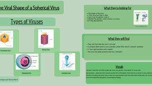Copy of Viral Shape CDC Infographic by Sienna Pierre on Prezi Design