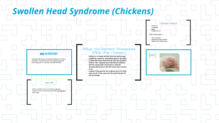 Swollen Head Syndrome by Kinsey Douglas on Prezi