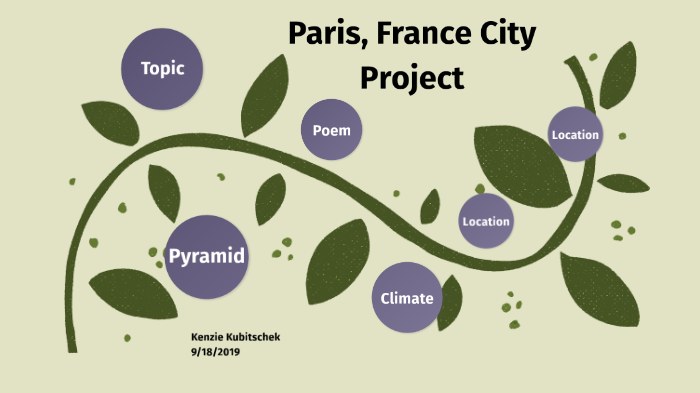 France Population Pyramid by Kenzie K on Prezi