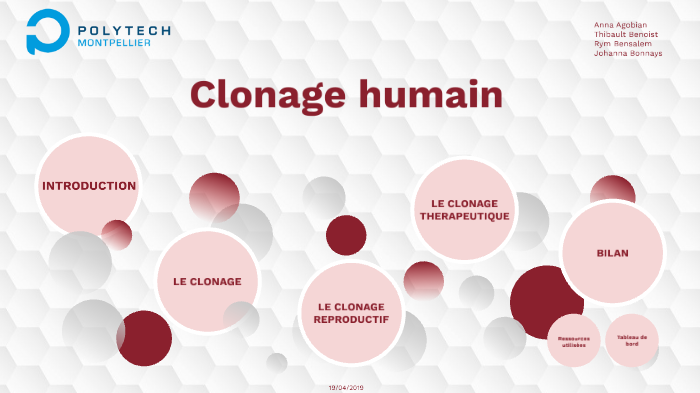 clonage humain pour ou contre