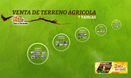 VENTA DE TERRENO AGRÍCOLA EN YANGAS LIMA- PERÚ by Michael Chavarria ...