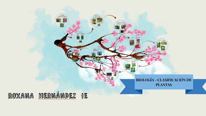 BIOLOGÍA - CLASIFICACIÓN DE PLANTAS by roxana hernandez saez on Prezi
