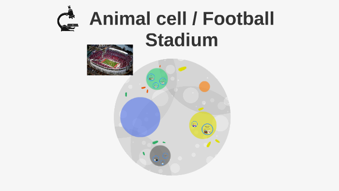 Animal cell / Football Stadium by Logan Toulouse on Prezi