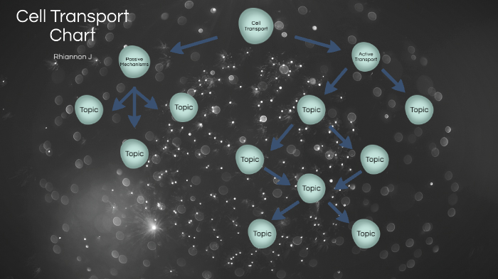 Cell Transport Chart by Rhiannon Janzen on Prezi