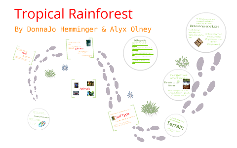 Environmental Science Tropical Rainforest Biome Project by Alyx Olney ...