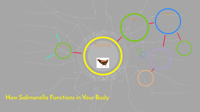 How Salmonella Functions in Your Body by blaine culver on Prezi