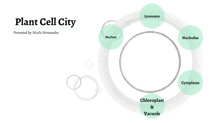 Plant Cell City by Nicole Hernandez on Prezi