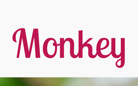 Monkey by Layla G on Prezi