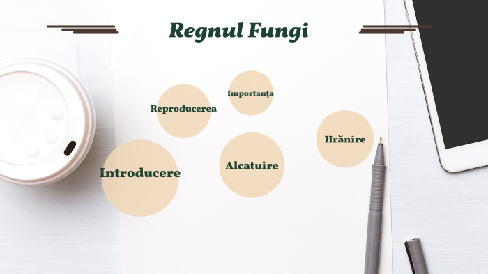 Regnul Fungi by SAhvld ashbvlb on Prezi
