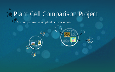 Plant Cell Comparison Project by chelsie corum on Prezi
