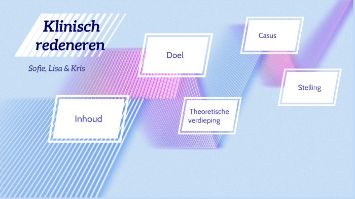 Klinisch redeneren in de gehandicaptenzorg by Kris Wijnholds on Prezi