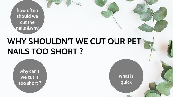why shouldn't we cut the nails too short by ZOLYN SOH on Prezi