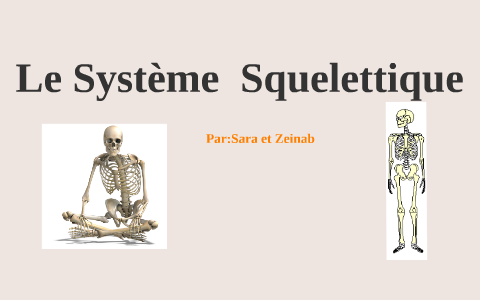 Le Systeme Squelettique by Sara Sader on Prezi