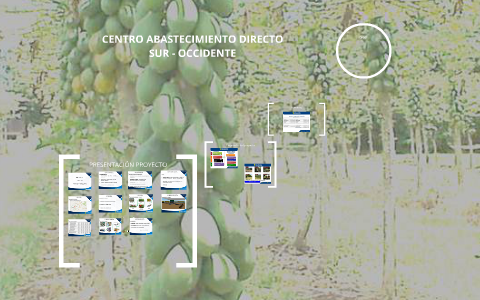 CENTRO ABASTECIMIENTO DIRECTO by FREDI GOMEZ on Prezi