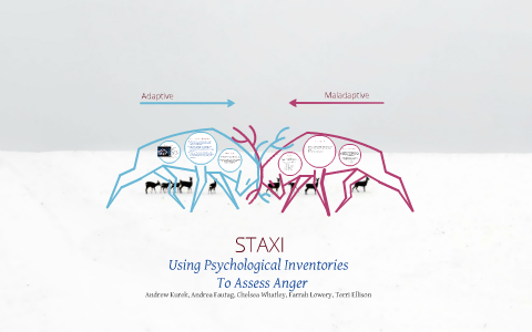 STAXI Assessment by Terri Ellison on Prezi