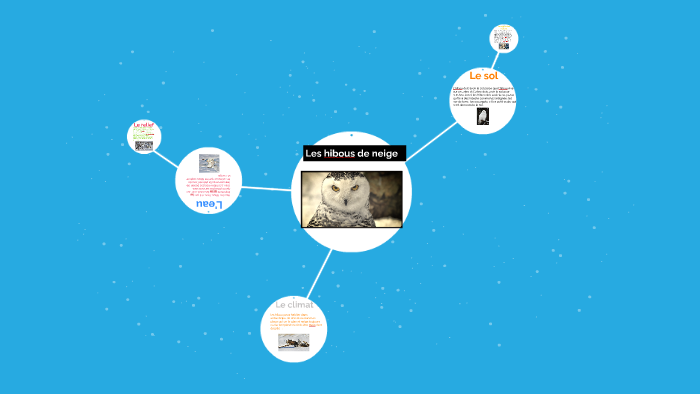 The snowy owl by john labib