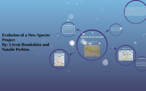 Evolution of a New Species Project by Livvie Brookshire on Prezi